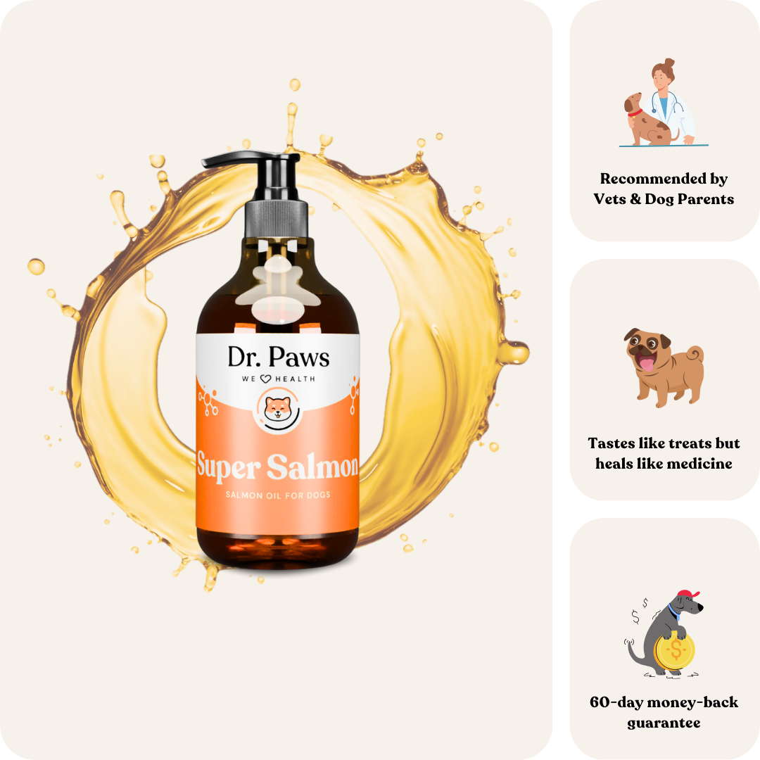 Super Salmon – Dr. Paws – Asia's #1 Pet Supplements
