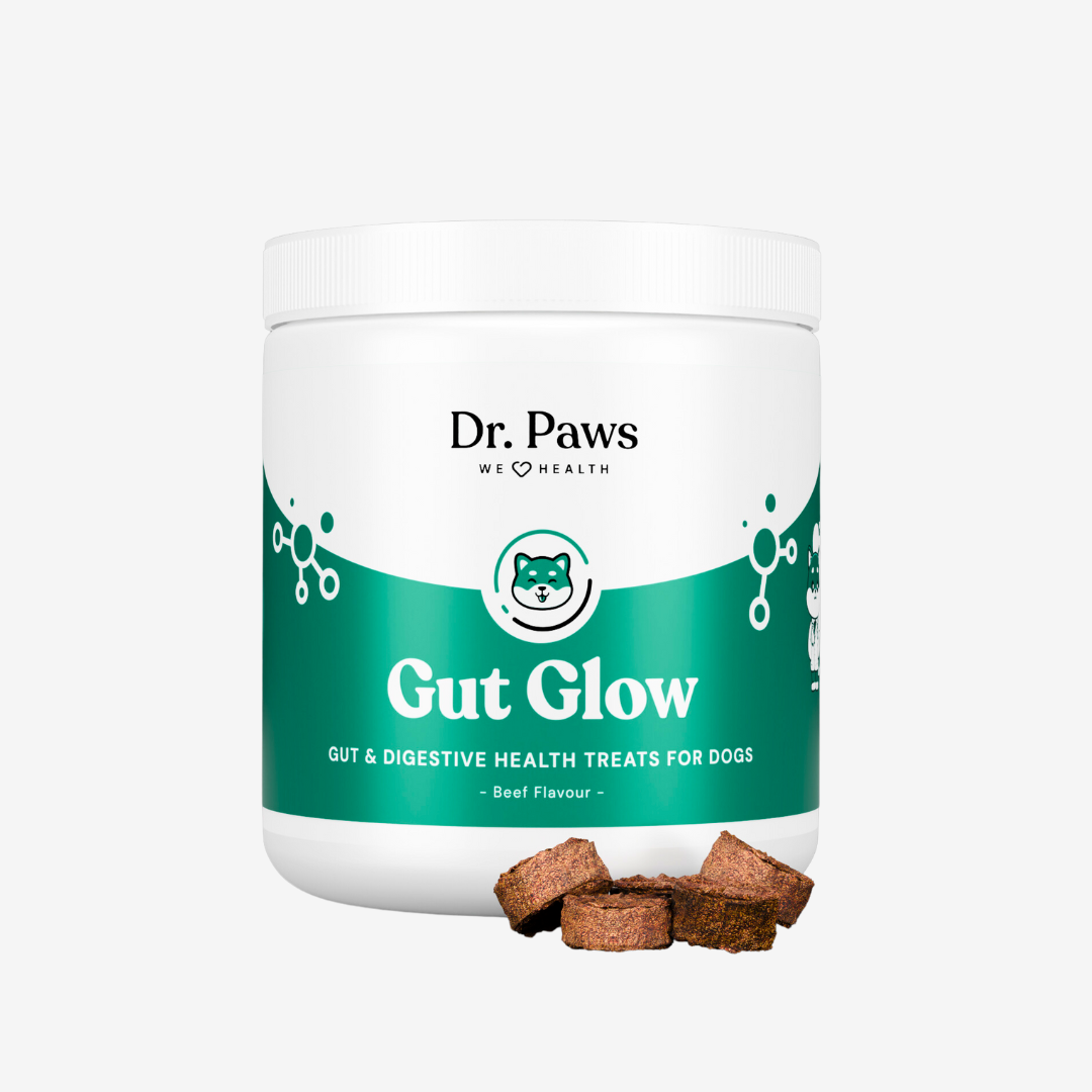 Gut Glow – Dr. Paws – Asia's #1 Pet Supplements