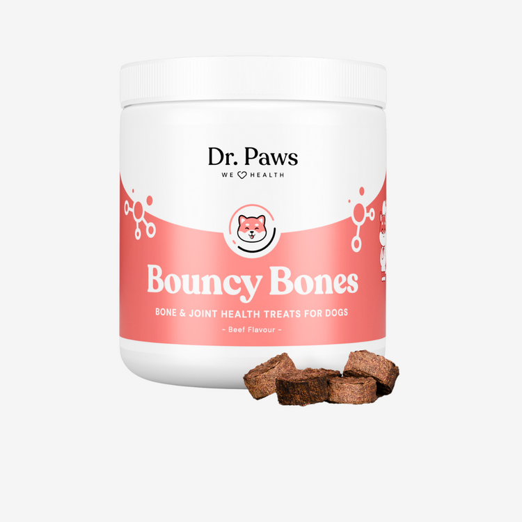 All Products – Dr. Paws – Asia's #1 Pet Supplements