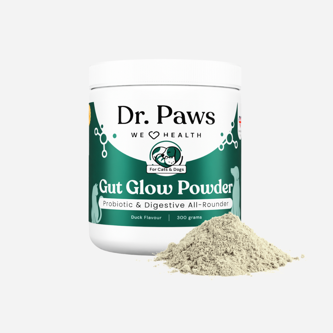Gut Glow Powder for Cats & Dogs – Dr. Paws – Asia's #1 Pet Supplements