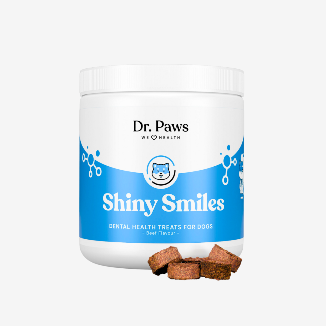 Dr.Paws - Gut Health – Dr. Paws – Asia's #1 Pet Supplements