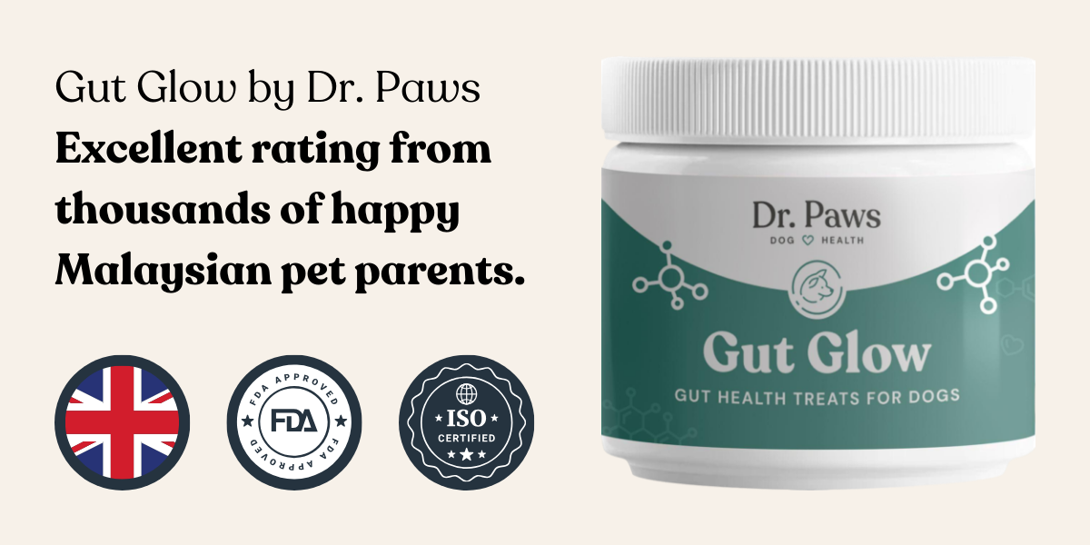 Dr.Paws - Gut Health – Dr. Paws – Asia's #1 Pet Supplements