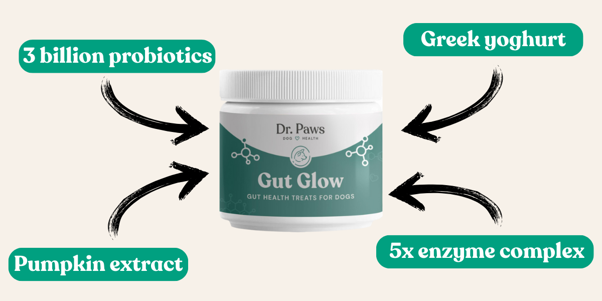 Dr.Paws - Gut Health – Dr. Paws – Asia's #1 Pet Supplements